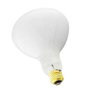 Outdoor - Light Bulbs - Lighting - The Home Depot