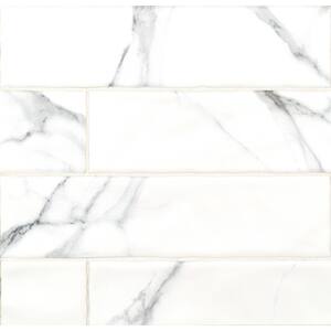 3x12 - Ceramic Tile - Tile - The Home Depot