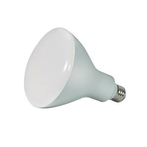 BR40 - LED Light Bulbs - Light Bulbs - The Home Depot