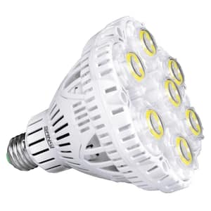 BR30 - LED Light Bulbs - Light Bulbs - The Home Depot