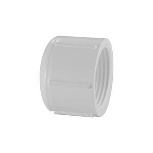 Cap - 2" - PVC Fittings - Fittings - The Home Depot