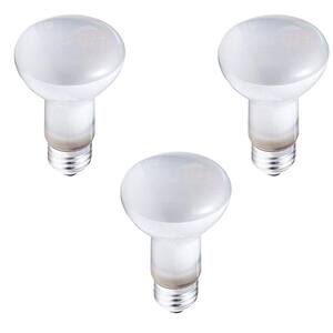 Incandescent - Light Bulbs - Lighting - The Home Depot