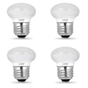 R14 - Light Bulbs - The Home Depot
