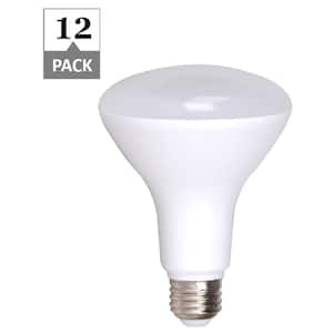 R40 - Light Bulbs - Lighting - The Home Depot