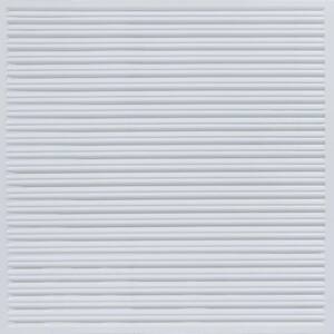 Acoustic - 2 x 2 ft - Ceiling Tiles - The Home Depot
