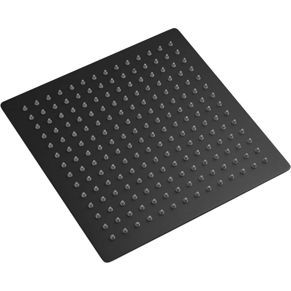 HOMEMYSTIQUE 1-Spray Patterns 10 in. Single Wall Mount and Ceiling ...