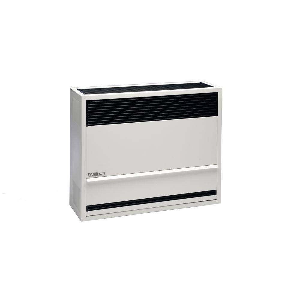 Williams 30,000 BTU/Hr Direct-Vent Furnace LP Gas Heater with Wall or ...