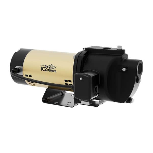 Professional Grade 1 HP Shallow Well Jet Pump, Cast Iron, ODP, 115V ...