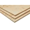Selex 0.68 in. x 4 ft. x 8 ft. CMPC A/C Plywood MAP902R0002P21 - The ...
