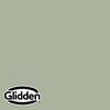 Glidden Premium 1 gal. PPG1127-4 Gargoyle Flat Interior Latex Paint ...