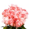 Globalrose Fresh Light Pink Color Roses (100 Stems) livia-100-roses ...