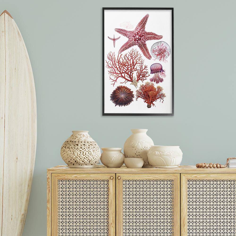 Stupell Industries Rosy Undersea Creatures by Ramona Murdock Black ...
