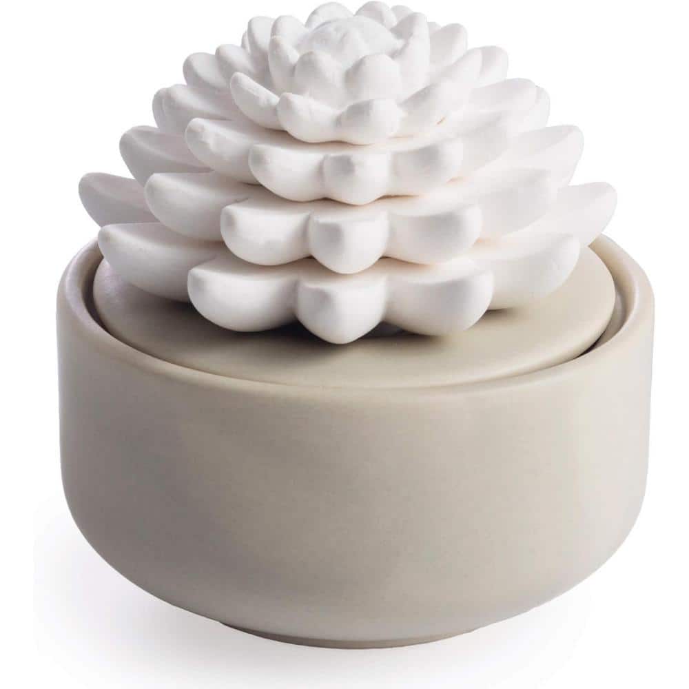 Afoxsos White Porcelain Diffuser, Non-Electric, Battery-Free Fragrance ...