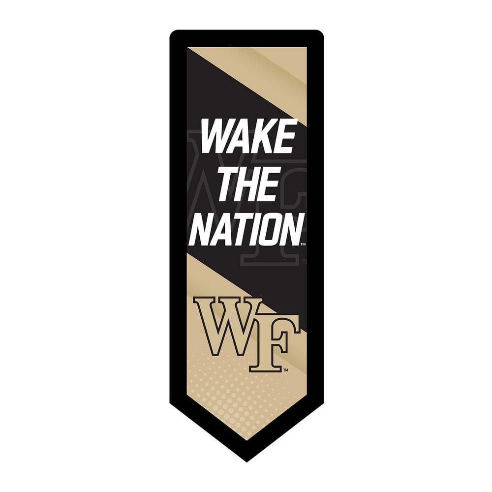 Evergreen 9 in. x 23 in. Wake Forest University Pennant Plug-in LED ...