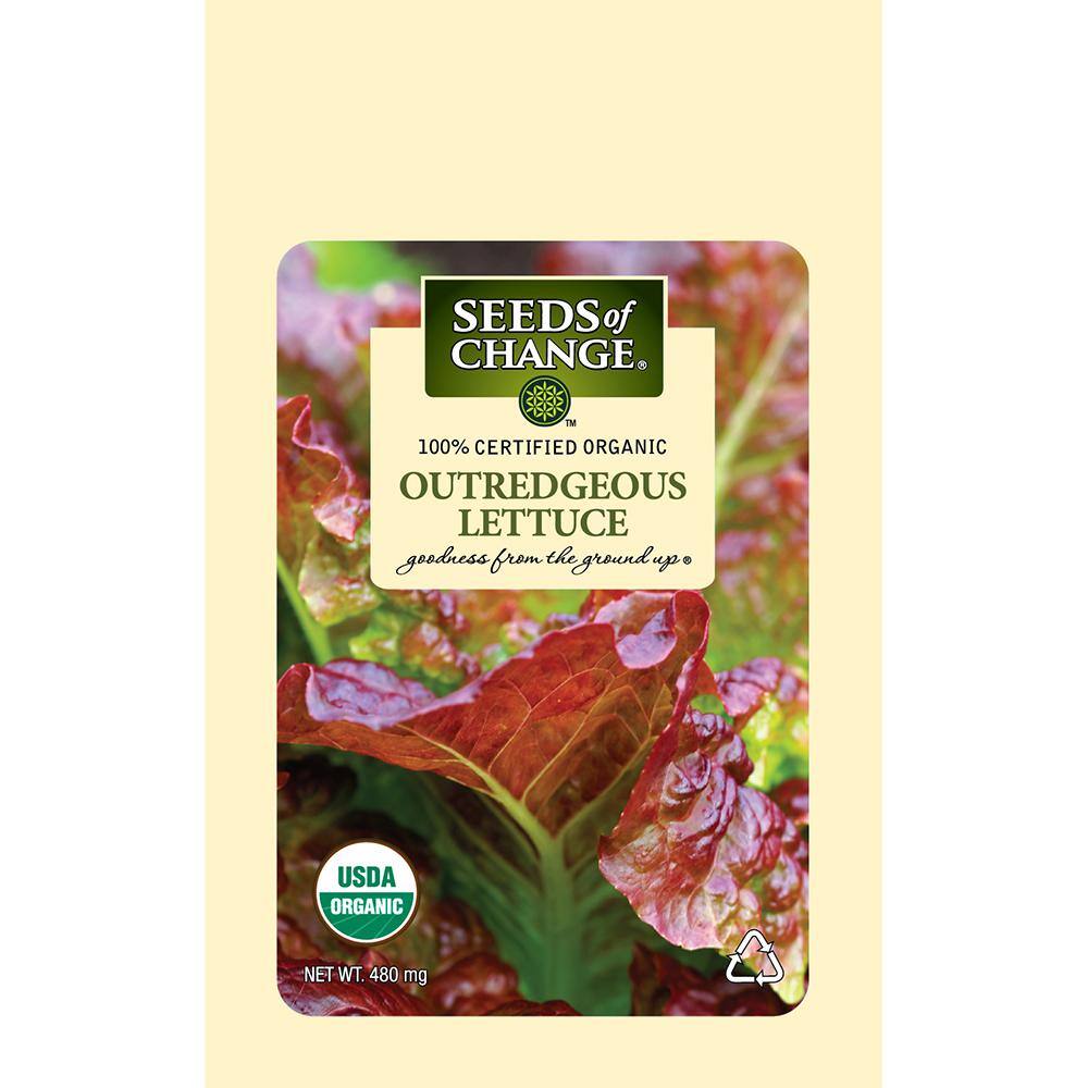 Seeds of Change Organic Outredgeous Lettuce 05357 - The Home Depot