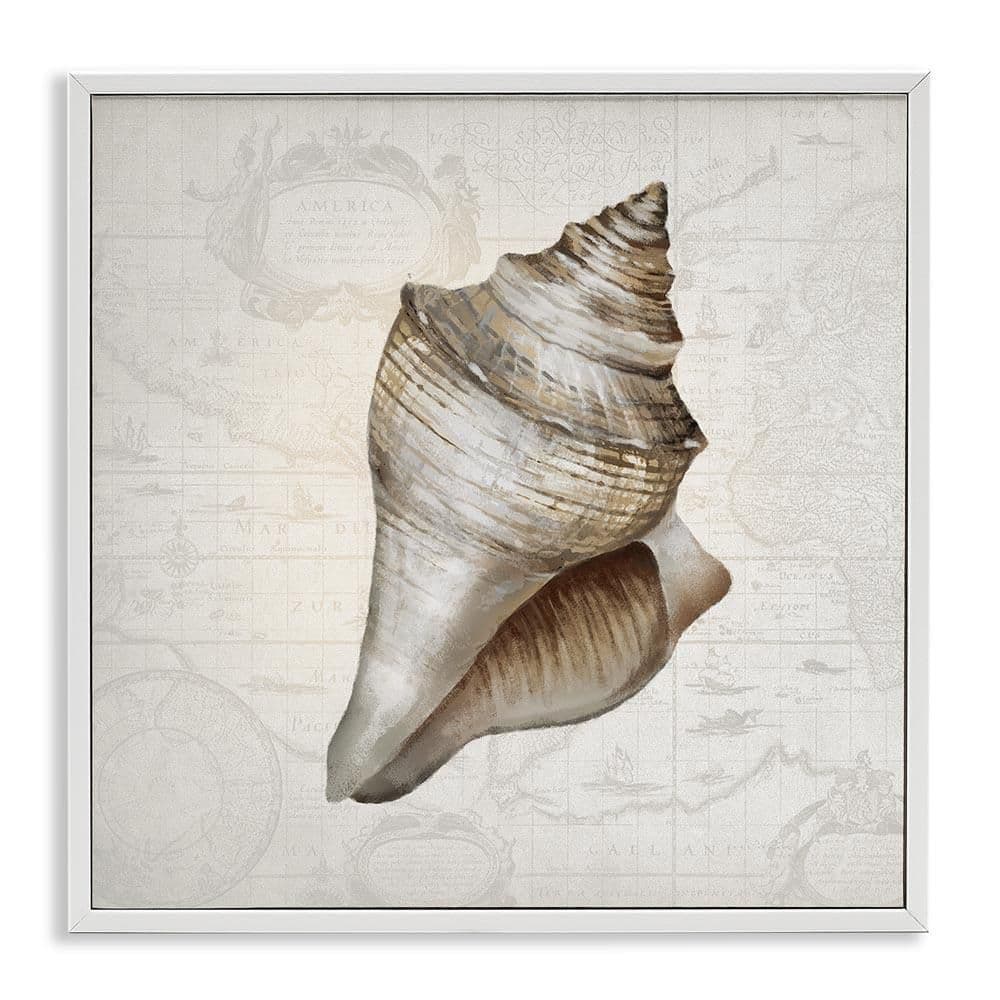 Stupell Industries Conch Shell over Vintage Map by Conrad Knutsen White ...
