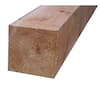 5 in. x 5 in. x 8 ft. Northern White Cedar Landscape Timber - Full Sawn ...