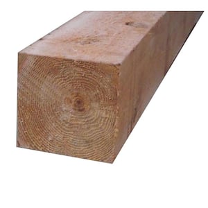 5 in. x 5 in. x 8 ft. Northern White Cedar Landscape Timber - Full Sawn ...