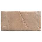 Ivy Hill Tile Tripoli Cotto 3.93 in. x 0.35 in. Matte Terracotta Look ...