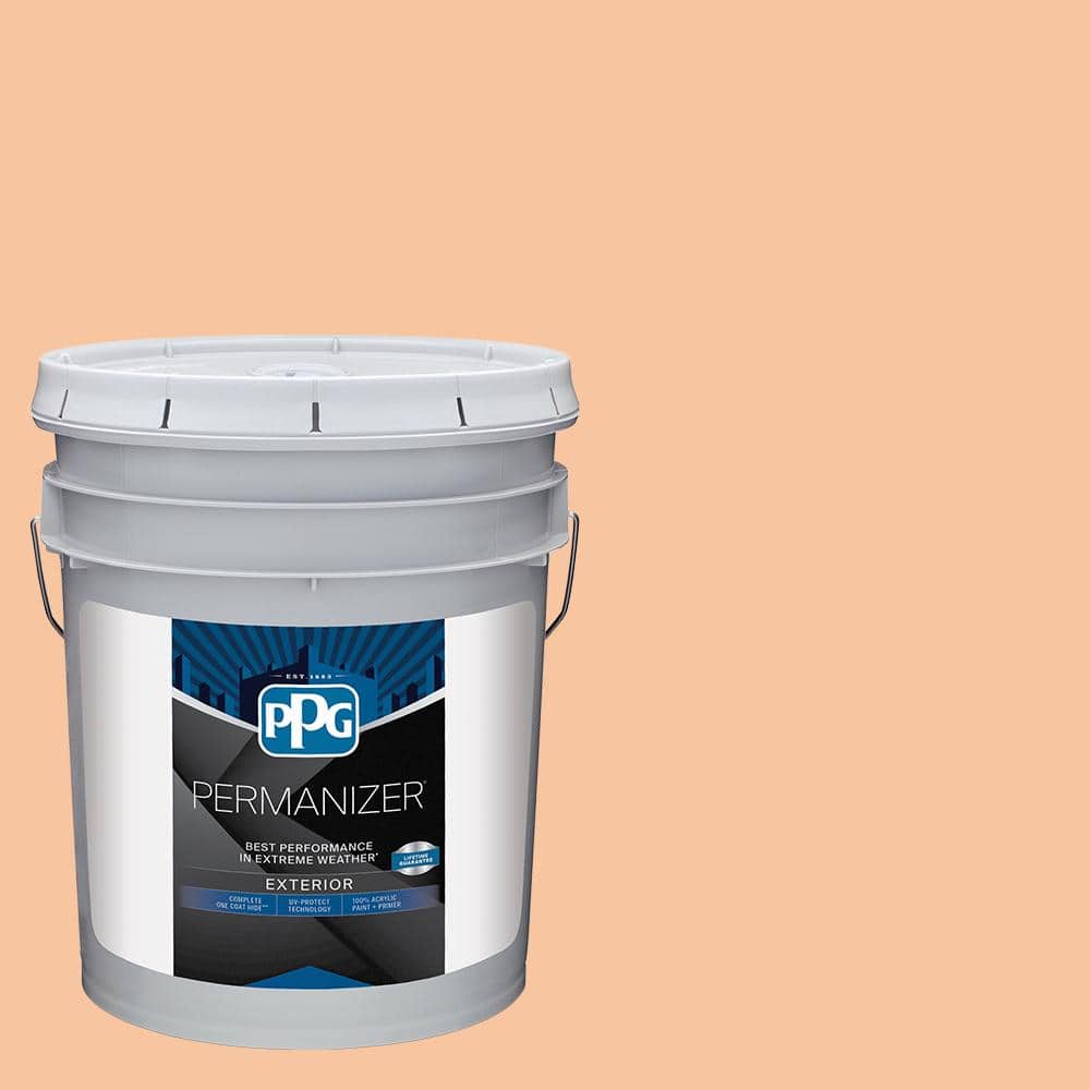 PERMANIZER 5 gal. PPG1197-4 Shrimp Toast Flat Exterior Paint PPG1197 ...