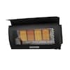 Dimplex Outdoor Wall-Mounted Natural Gas Infrared Heater DGR32WNG - The ...