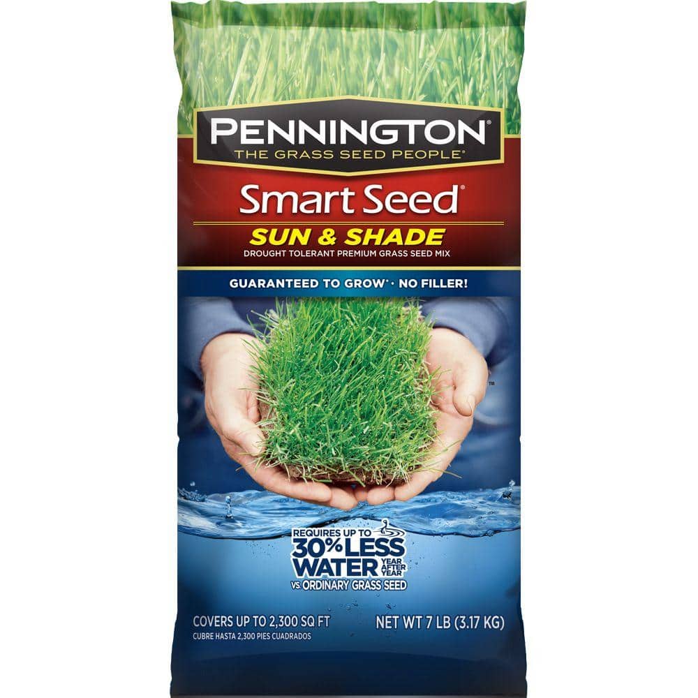 Pennington Grass Seed Reviews
