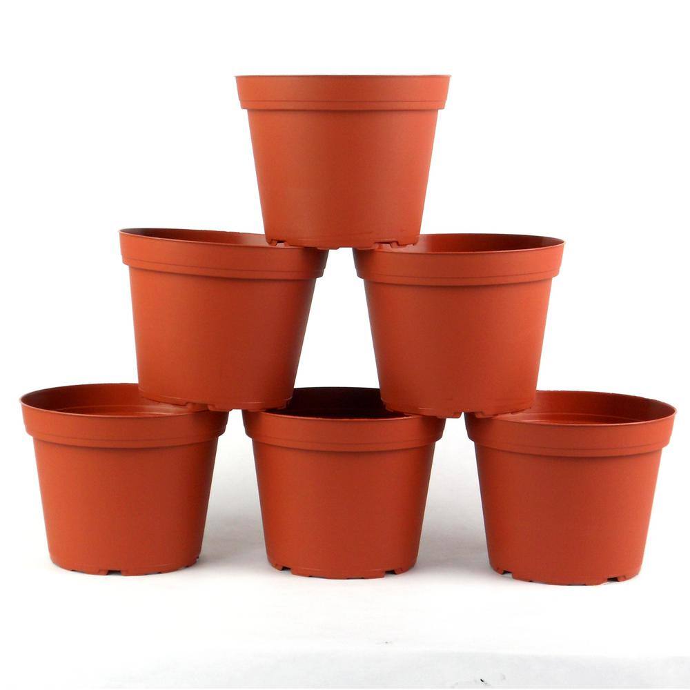 TEKU 6 in. Plastic Round Pot (6-Pack) TO15DO606 - The Home Depot
