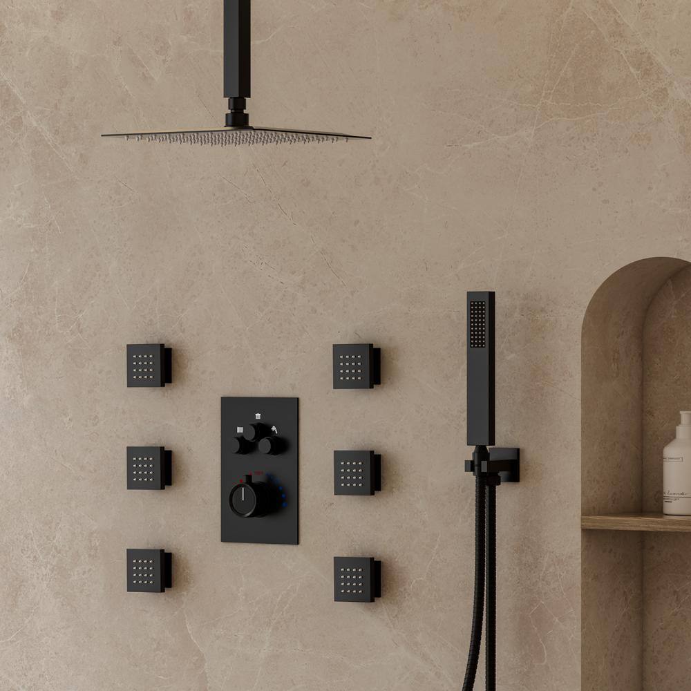 Cranach 7 Spray Patterns Thermostatic Shower System Ceiling Mount
