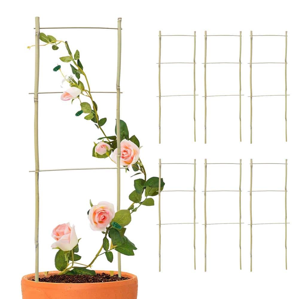 Wellco 2 ft. Natural Trapezoid Bamboo Trellis For Climbing Plants ...