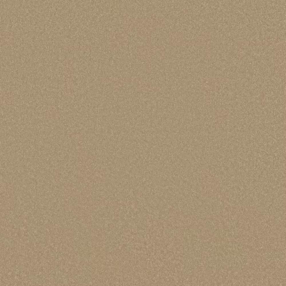Shaw 8 in. x 8 in. Texture Carpet Sample-Park Royal II-Color Clay Stone ...
