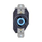 Leviton 50 Amp Single Surface Mounted Single Outlet, Black R20-55050 ...