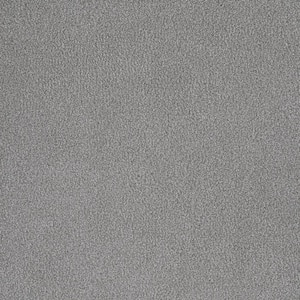 Home Decorators Collection 8 in. x 8 in. Texture Carpet Sample - First ...