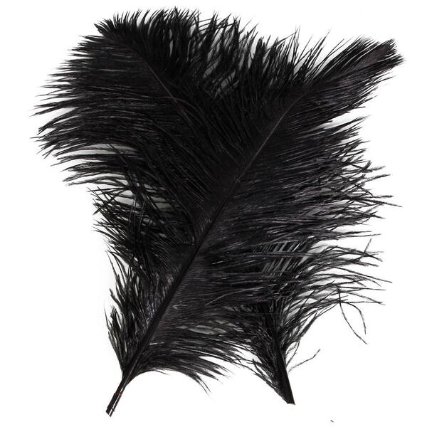 NORTH SUNSHINE LLC Black Ostrich Feather (10-Piece) 13010834 - The Home ...
