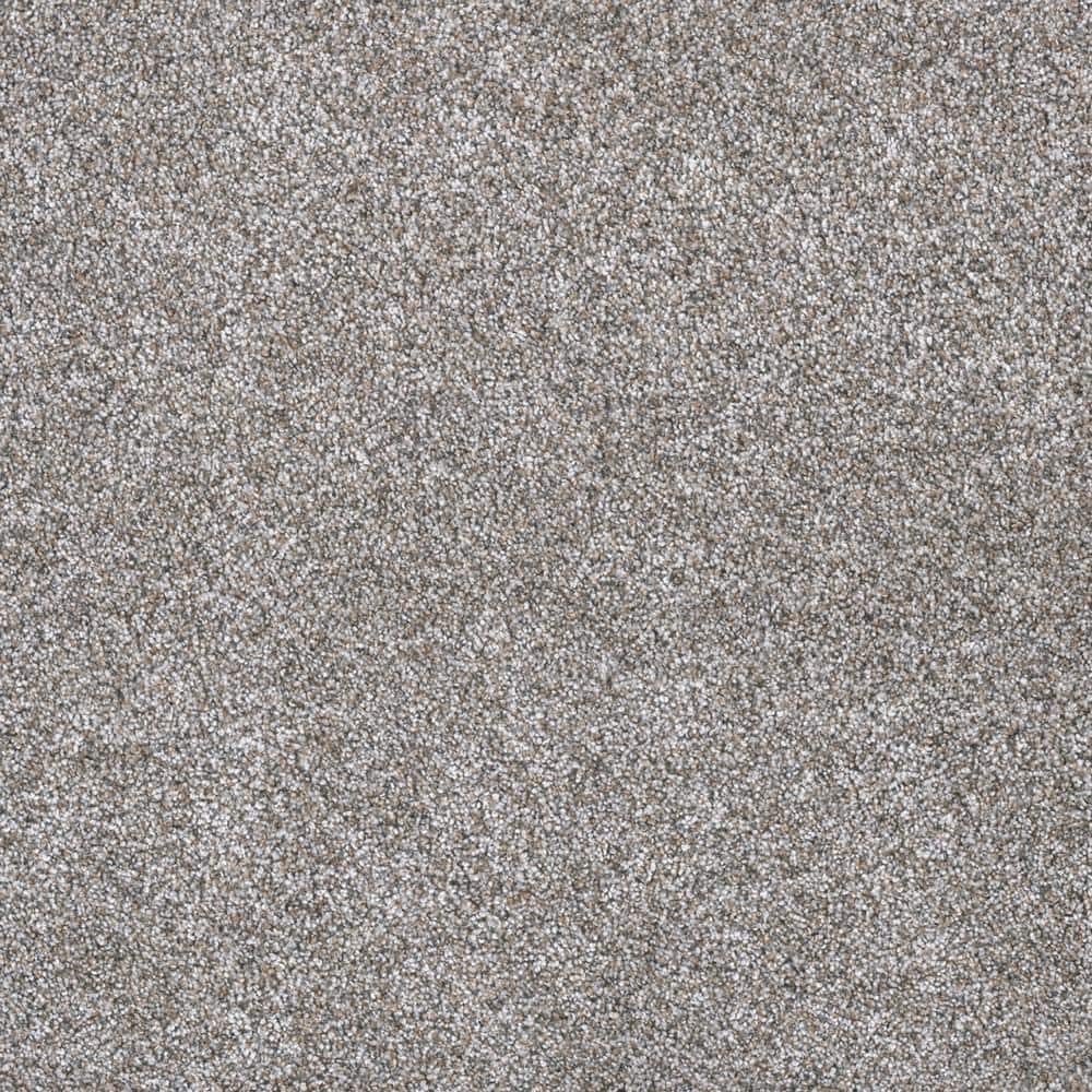 Lifeproof 8 in. x 8 in. Texture Carpet Sample - Hazelton II - Color ...