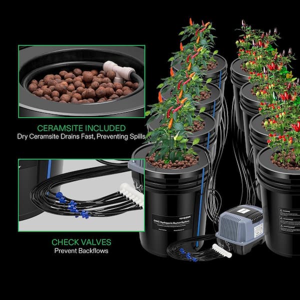 Deep Water Hydroponics Cannabis Hydro Weed Vs Soil: Is Hydroponic