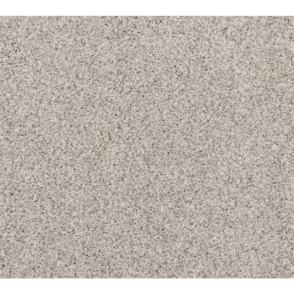 Mohawk 8 in. x 8 in. Texture Carpet Sample-Magalynn II-Color Grey Beam ...