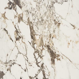 Daltile Panoramic Duet Calacatta Topaz 48 in. x 48 in. Matte Porcelain ...