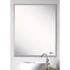 25 in. W x 35 in. H Framed Rectangular Bathroom Vanity Mirror in Silver ...