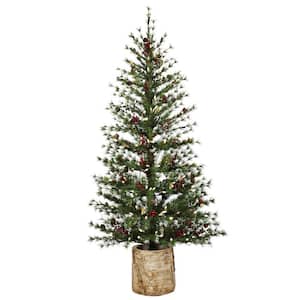 Evergreen 5 ft. Pre-Lit Artificial Christmas Tree with Resin Birch Pot ...
