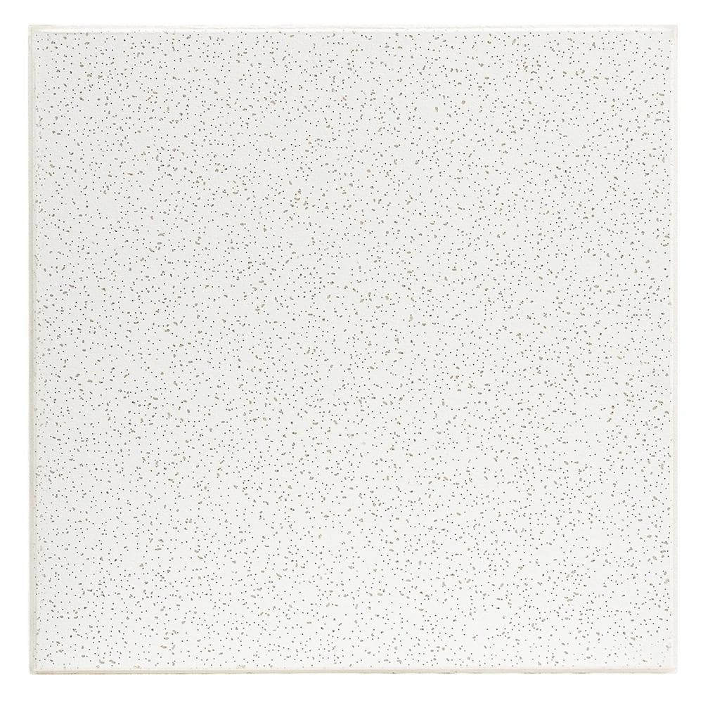 USG Ceilings 2 ft. x 2 ft. Radar White Fineline Beveled Edge Lay-In ...