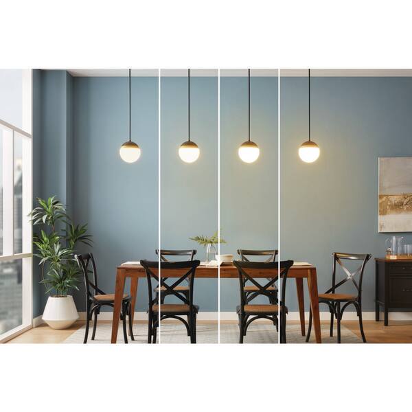 EcoSmart Universal Select 40/60/75/100-Watt Equivalent A19 Dimmable LED ...