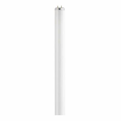 Philips 40-Watt 4 ft. Linear T12 ALTO Fluorescent Tube Light Bulb ...
