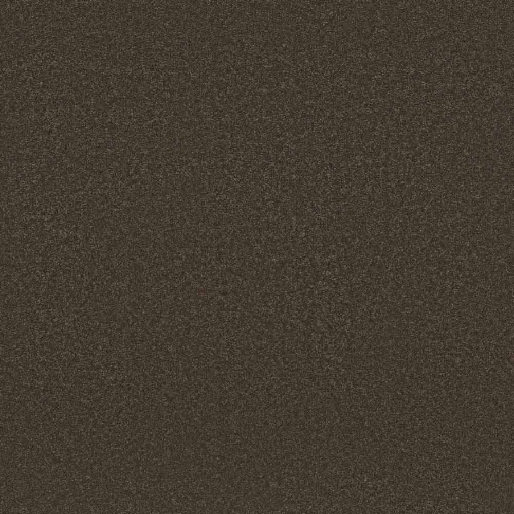 Lifeproof Park Royal II Apple Butter Brown 52 oz. Nylon Texture Carpet ...
