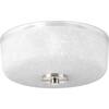 Progress Lighting Alexa Collection 2-Light Brushed Nickel Flush Mount ...