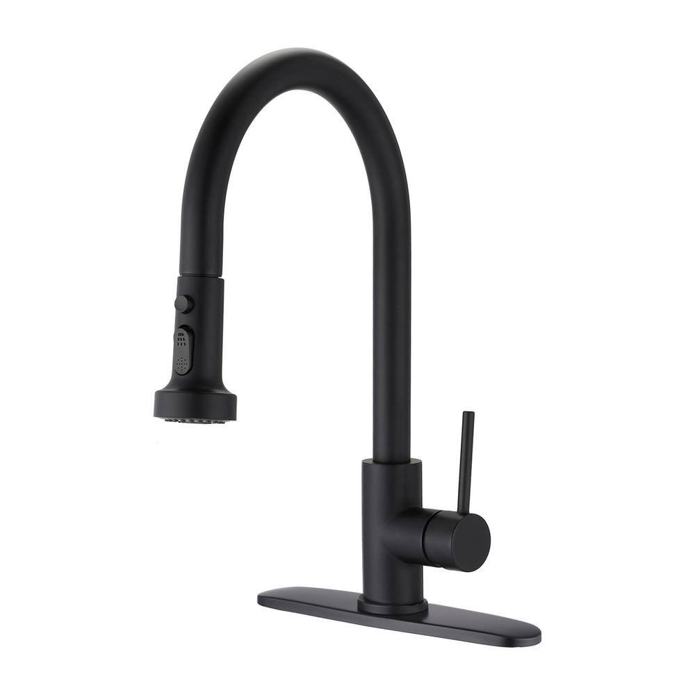 FLG Single Handle Pull Down Sprayer Kitchen Faucet with Advanced Spray ...