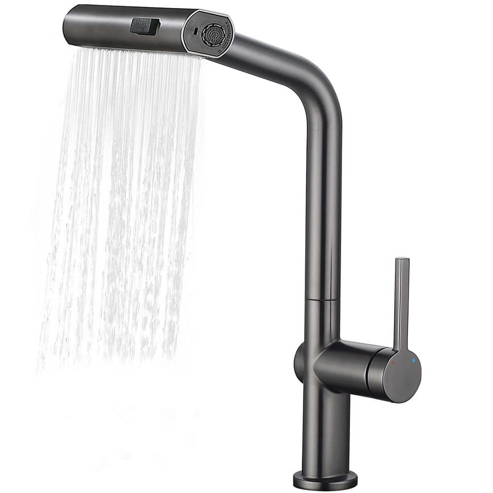 ruiling Single Handle Pull Down Sprayer Kitchen Faucet with Advanced ...