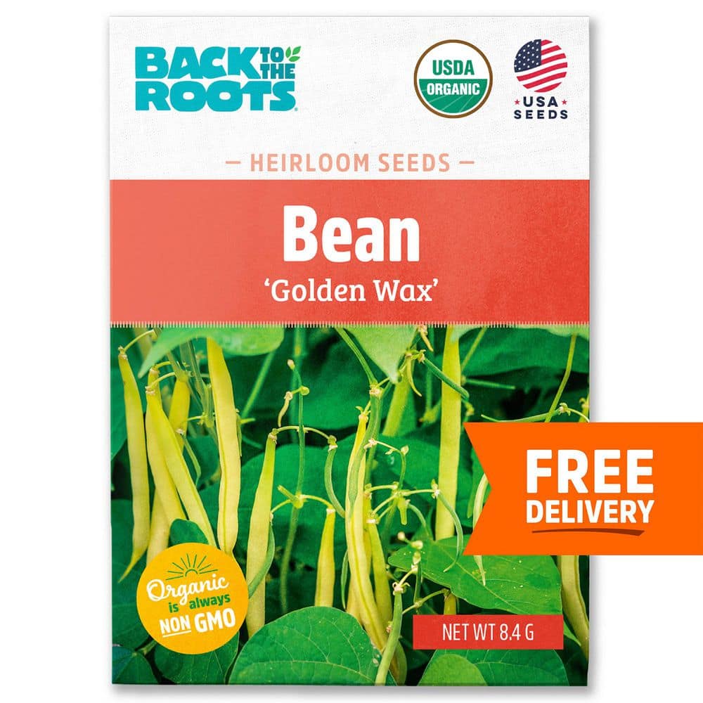 Back to the Roots Organic Bean 'Golden Wax' Heirloom Vegetable Seeds ...