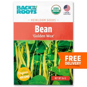 Back to the Roots Organic Bean Pinto Heirloom Vegetable Seeds 46128 ...