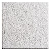 USG Ceilings 2 ft. x 2 ft. Glacier White Fineline Edge Lay-In Ceiling ...