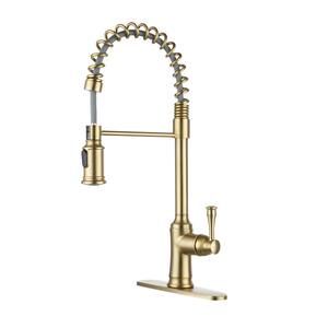 Boyel Living 2-Spray Patterns Single Handle Pull Down Sprayer Kitchen ...